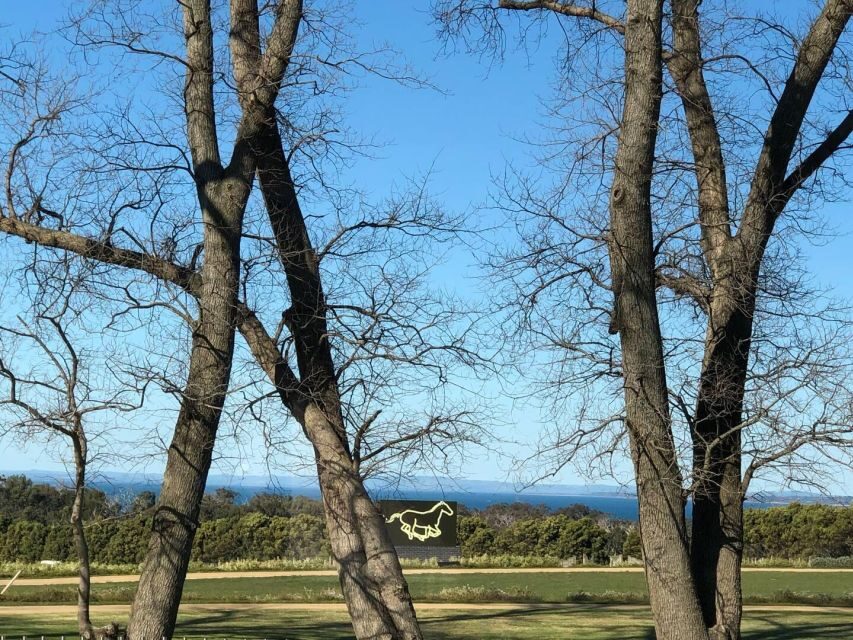 Private Tour: Mornington Peninsula Wine, Beer & Hotsprings - Transportation & Group Dynamics