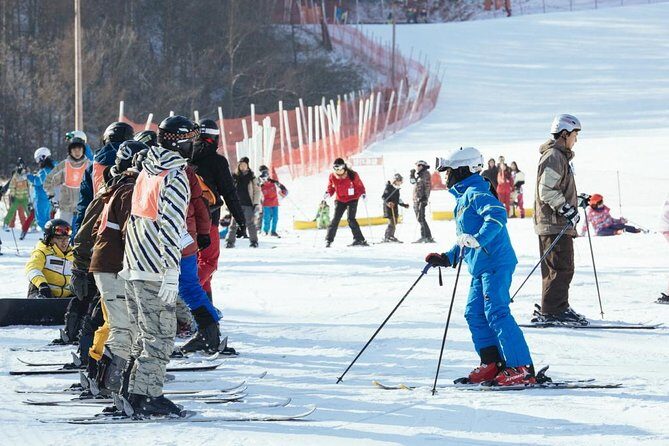 [Private Tour] Nami Island & Ski (Ski Lesson, Equip & Clothing Included) - Navigating the Logistics
