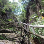 Private tour Nha Trang-Dalat excursion (start at Nha Trang) - Why Choose This Tour?