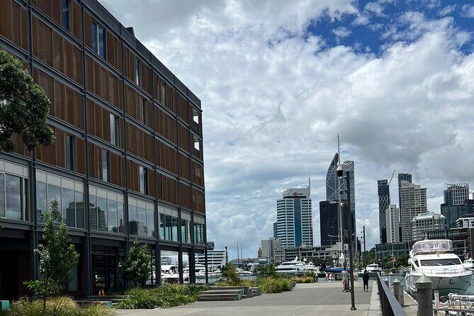 Private Tour Of Auckland - The Value and Practical Considerations