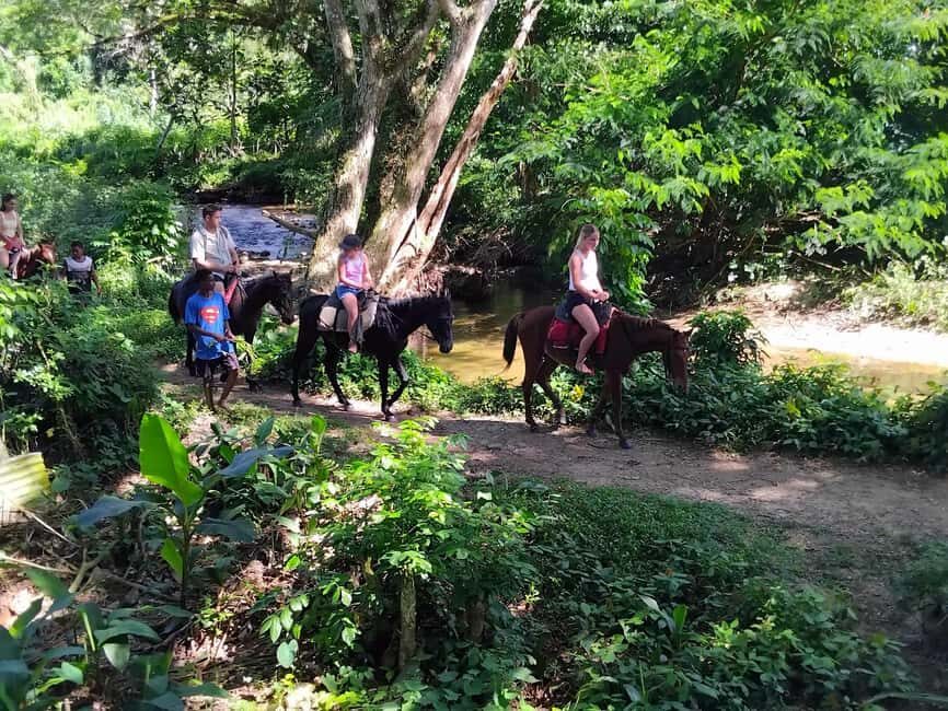 Private Tour: Pacific's Largest Dunes & Famous Waterfall - The Bottom Line