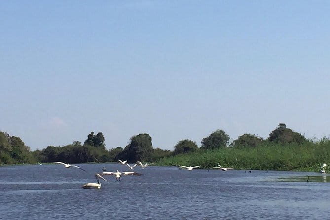 Private Tour Prek Toal Bird Sanctuary Off Beaten Track - The Value of This Tour