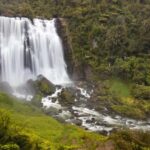 Private Tour: Private Tour: Waitomo Caves (Flexible) - The Highlight: The Waitomo Glowworm Caves