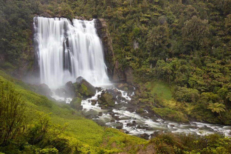 Private Tour: Private Tour: Waitomo Caves (Flexible) - The Highlight: The Waitomo Glowworm Caves