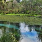 Private Tour Rotorua + Blue springs + WaiOtapu + Redwood forest - Authentic Experiences and Genuine Insights