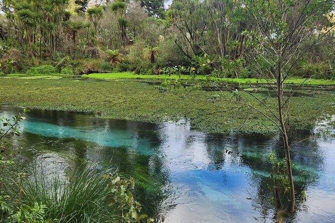 Private Tour Rotorua + Blue springs + WaiOtapu + Redwood forest - Authentic Experiences and Genuine Insights