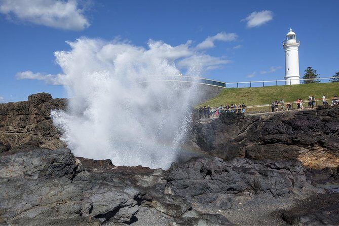 Private Tour: Sydney South Coast & Highlands - The Itinerary Breakdown