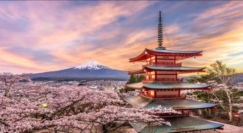 Private Tour to Mt Fuji and Hakone with English Driver - The itinerary: what makes each stop special?
