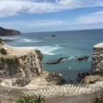 Private Tour: Waitomo Caves Day Trip from Auckland - What Travelers Say About This Tour