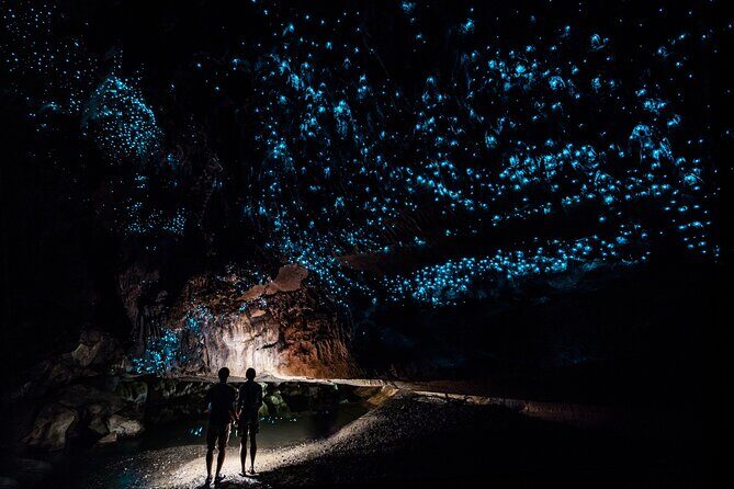 Private Tour Waitomo Caves from Auckland - An In-Depth Look at the Waitomo Caves Private Tour