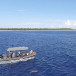 Private Tour Whale Watching BORA-BORA - A close look at the experience