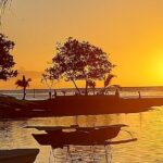 Private Tours of Tahiti by Lydia. Full or Half Day - Who Should Consider This Tour?