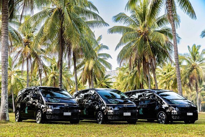 PRIVATE TRANSFER Cairns Airport  Port Douglas Minibus (6am-5pm) - Practical Details and Tips for Booking