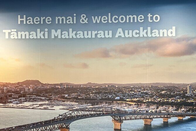 Private Transfer From Auckland Airport To Cambridge - Why Choose This Transfer?