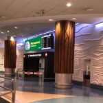 Private Transfer From Auckland International Airport To Auckland City - Why This Transfer Makes Sense