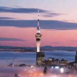Private Transfer From Cruise Ships To Auckland CBD Hotels - Detailed Review