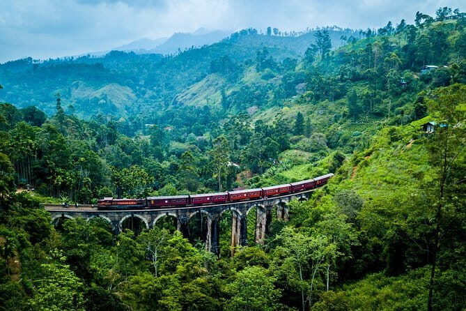 Private Transfer from Dickwella to Sri Lanka Colombo Airport (CMB) - Final Thoughts