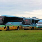 Private Transfer from Nadi Airport to Pacific Harbour hotels - Why This Transfer is a Good Value