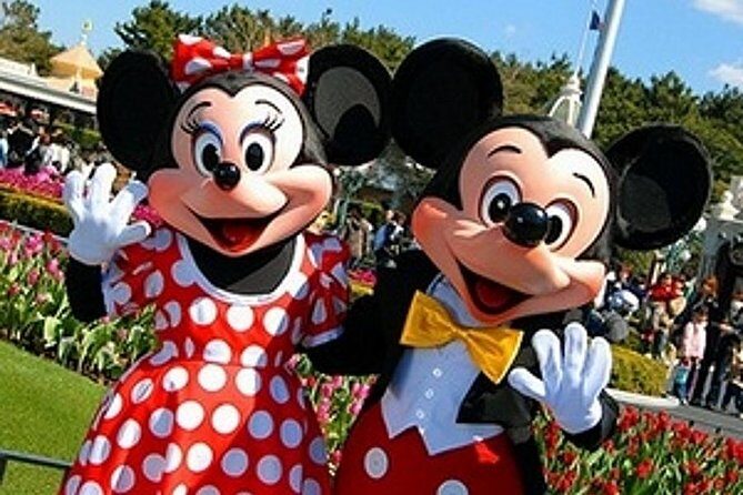 Private Transfer from Shanghai Pudong Airport to Shanghai Disneyland - Who Should Consider This Service?