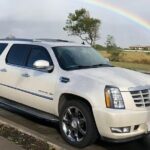 Private Transfer from Wellington Port to Wellington Airport (WLG) - The Vehicle and Service Quality
