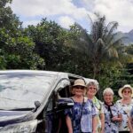 Private vehicle transfer Fiji Marriot Momi Bay to Nadi Airport - Benefits of Going Private