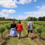 Private Wairarapa Wine Delights Tour from Wellington - Insights from Travelers and Their Experiences