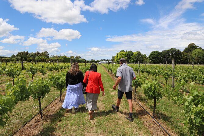 Private Wairarapa Wine Delights Tour from Wellington - Insights from Travelers and Their Experiences