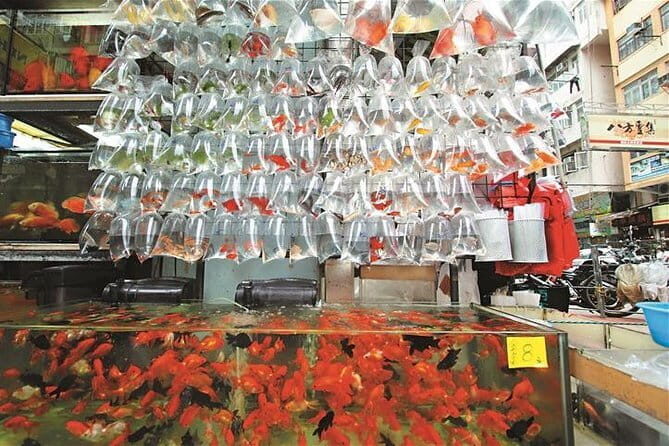 Private Walking Tour: Hong Kong Local Markets Hopper - Practical Details and Value