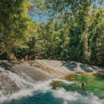 Private Waterfall and Rainforest Day Tour - The Experience of the Stops