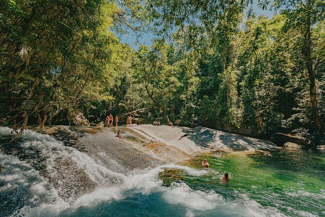 Private Waterfall and Rainforest Day Tour - The Experience of the Stops