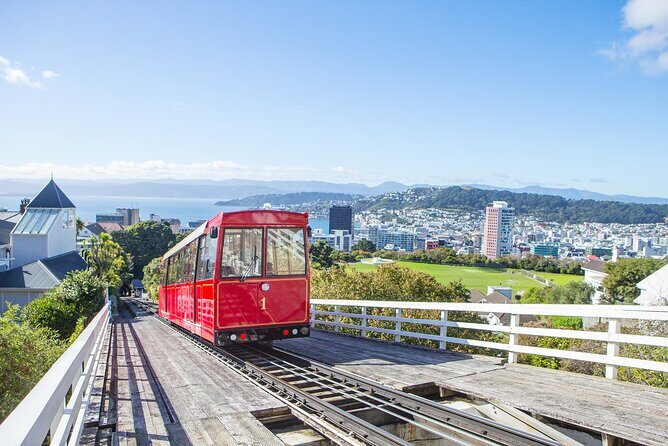 PRIVATE Wellington Half Day Tour including Cable Car - The Value of a Private Tour