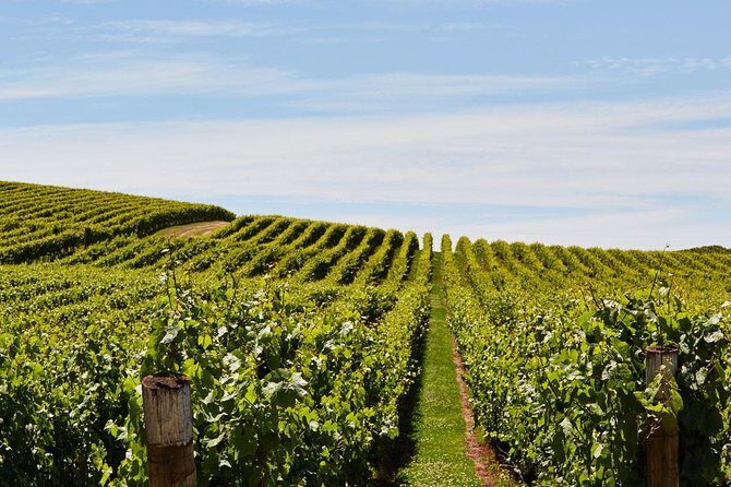 Private West Tamar Wine Tour - Itinerary Breakdown: What to Expect