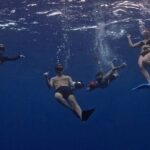 Private Whale Watching Adventure in Mo'orea - Personal experiences and insights from reviews