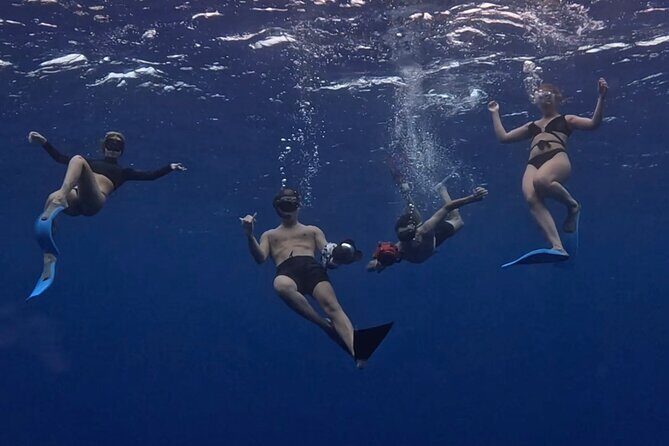 Private Whale Watching Adventure in Mo'orea - Personal experiences and insights from reviews