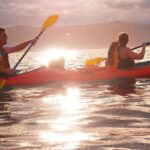 Private Wildlife Kayaking Tour - Kaikoura - The Value of the Experience