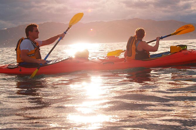 Private Wildlife Kayaking Tour - Kaikoura - The Value of the Experience