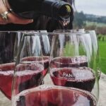 Private Wine Tasting Tour in Mornington Peninsula with Lunch - Who Would Enjoy This Tour?
