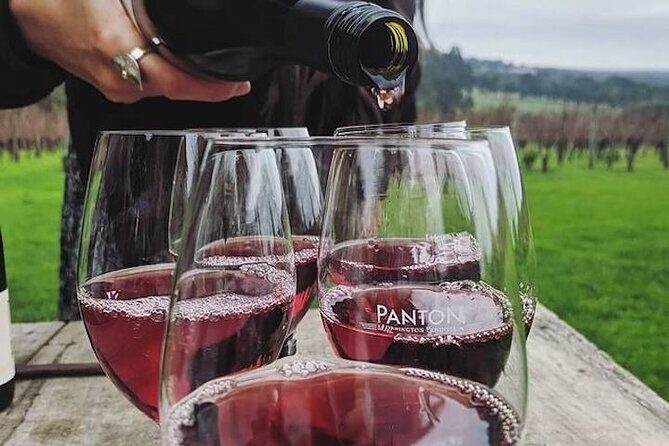 Private Wine Tasting Tour in Mornington Peninsula with Lunch - Who Would Enjoy This Tour?