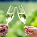 Private Wine Tour in Hunter Valley Pokolbin - Authentic Experiences and Value
