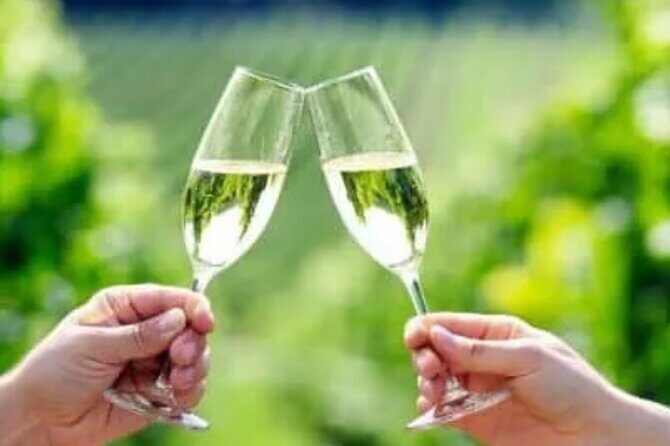 Private Wine Tour in Hunter Valley Pokolbin - Authentic Experiences and Value