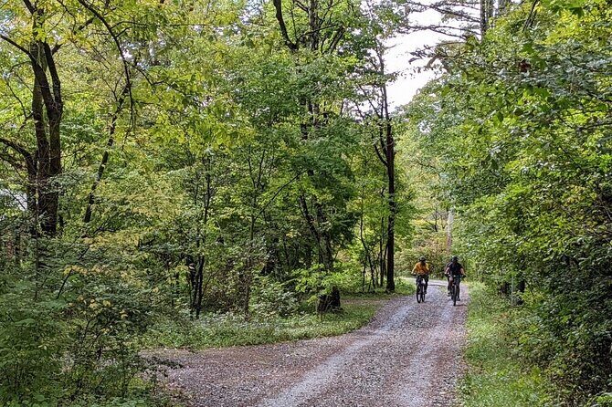 Private Yatsugatake Highland Guided Electric Bike Tour - What Makes This Tour Stand Out