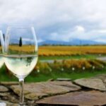 Progressive Wine & Gourmet Trail from Blenheim or Picton - The Value: How Does It Add Up?