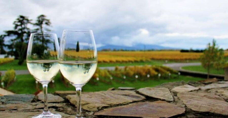 Progressive Wine & Gourmet Trail from Blenheim or Picton - The Value: How Does It Add Up?