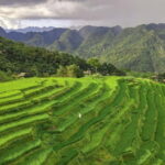 Pu Luong: Half-Day Trekking Tour with Local Farm Visit - Value and Practicalities