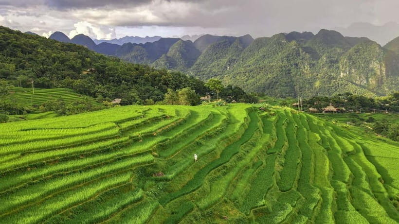 Pu Luong: Half-Day Trekking Tour with Local Farm Visit - Value and Practicalities