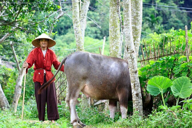Pu Luong & Ninh Binh 3 Days Group Tour from Hanoi Old Quarter - What Travelers Say: Authentic Insights