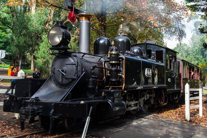 Puffing Billy And Healesville Sanctuary Scenic Tour - The Puffing Billy Experience
