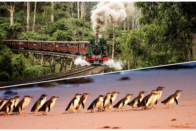 Puffing Billy and Penguin Parade Day Tour From Melbourne - Authentic Perspectives from Travelers