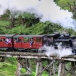 Puffing Billy And Phillip Island Penguin Parade Bus Tour - Practical Considerations