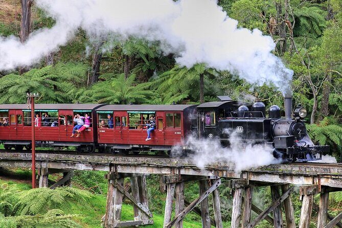 Puffing Billy And Phillip Island Penguin Parade Bus Tour - Practical Considerations